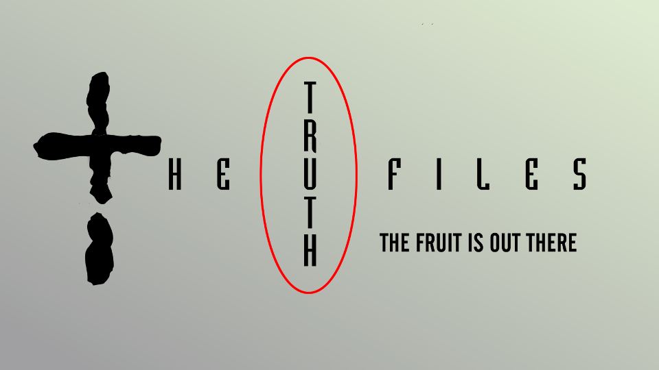 The Truth Files - Goodness in a World of Facades